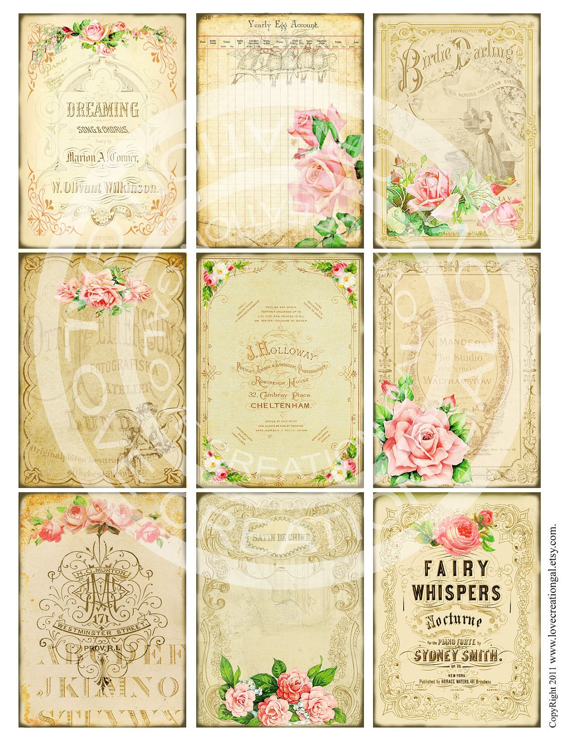 9 Vintage Victorian Flower Rose Frames Postcard ledge Border
