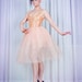 Flesh Coloured Latex and Tulle Tutu
