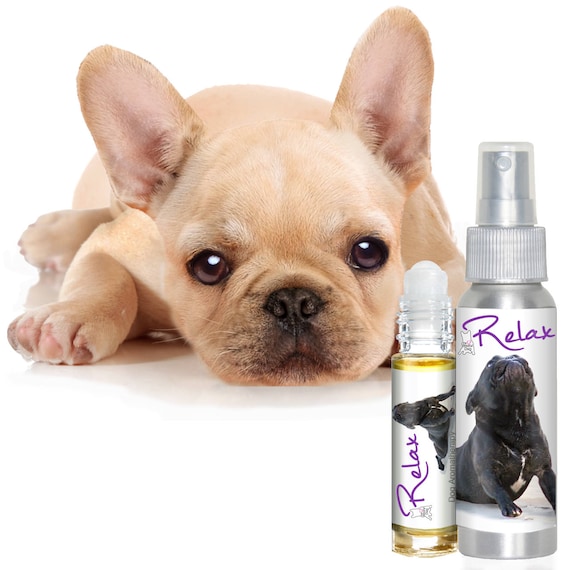 French Bulldog RELAX Dog Aromatherapy for Frenchie Anxiety and