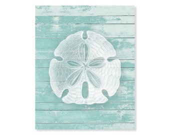 Sand dollar art | Etsy
