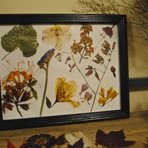 Pressed flower art | Etsy