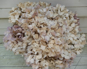 Dried hydrangeas | Etsy