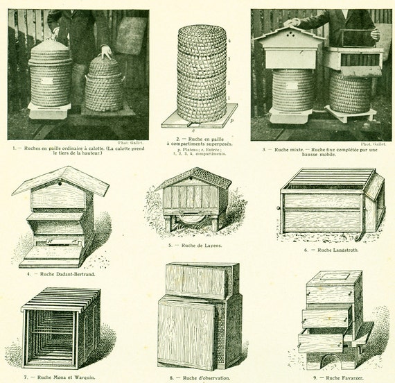 1922 Apiculture Ruche Paille Ruche Layens Ruche Dadant