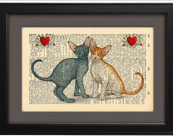 Devon rex | Etsy