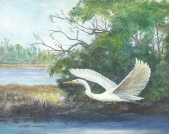Florida bird art | Etsy