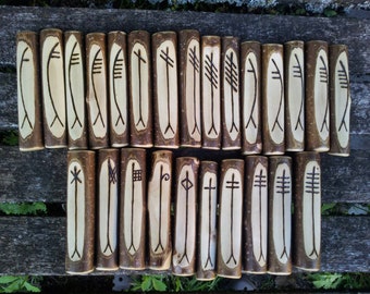 Ogham set supplies wood sticks branches twigs natural alder