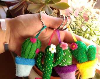 Cactus gifts | Etsy