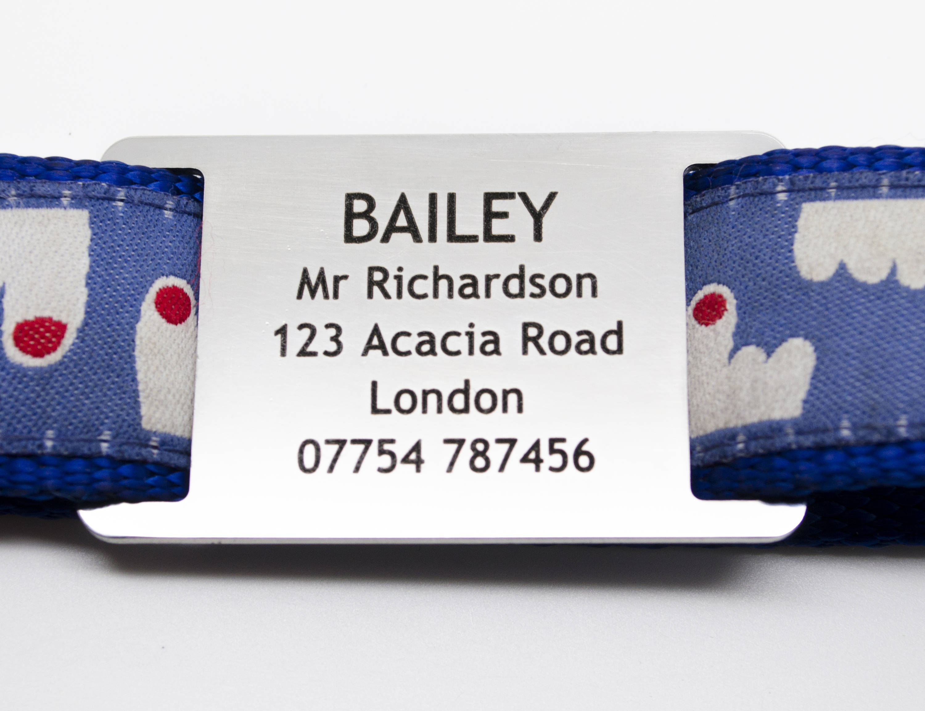 Agility and working dog slip on ID collar tag. Stainless steel