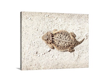 Native American Horned Toad design treated steel stamp for