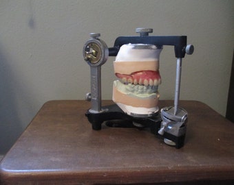 Medical oddities | Etsy