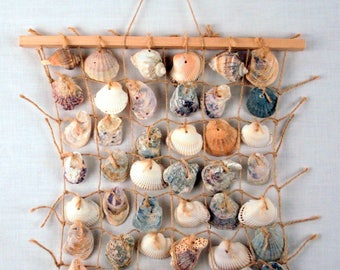 Sea shell decor | Etsy