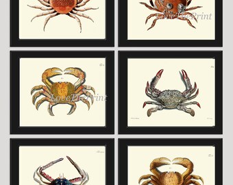Crab poster | Etsy