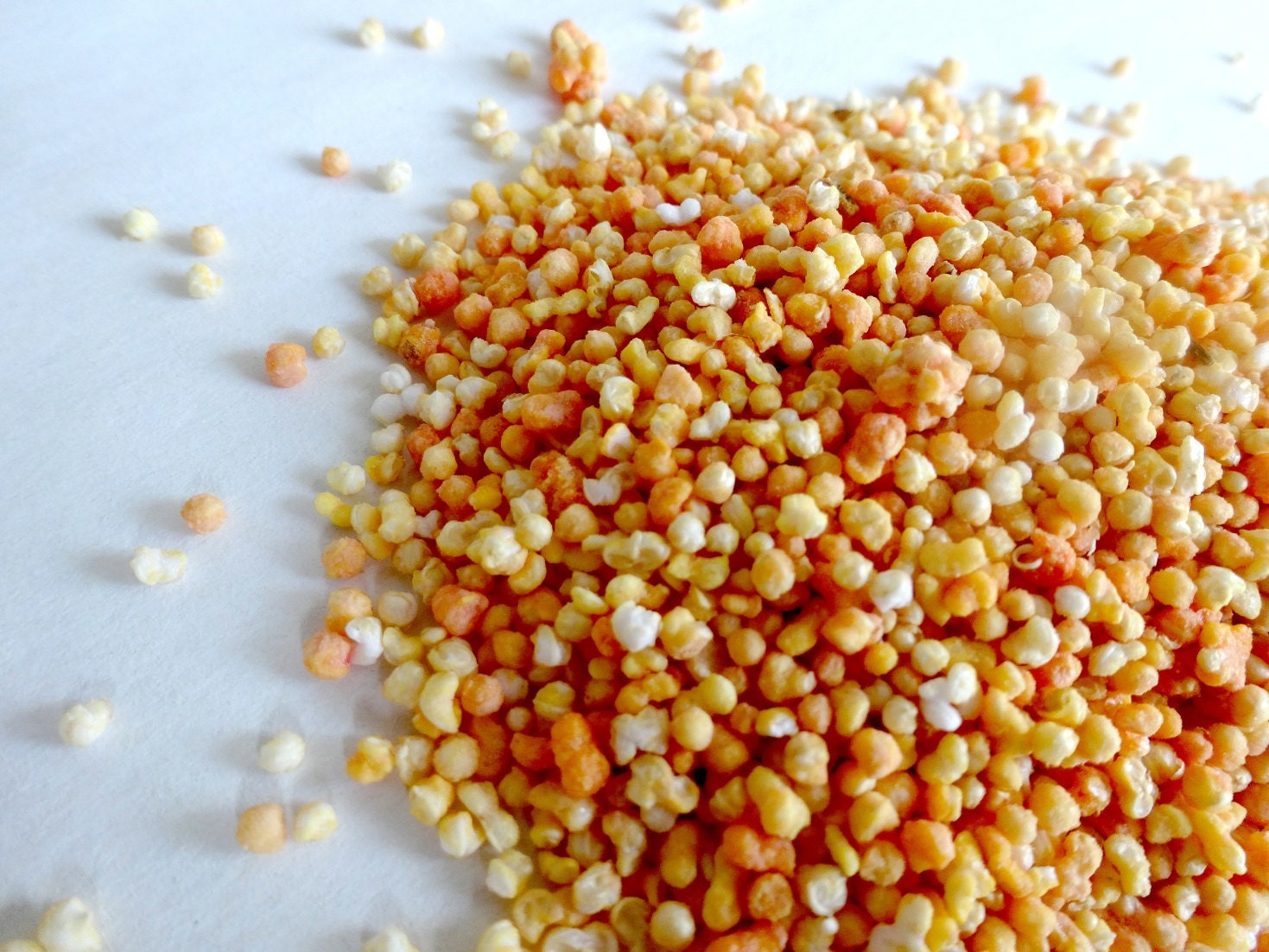 Toasted Amaranth Grains. Natural and Cooked with Honey