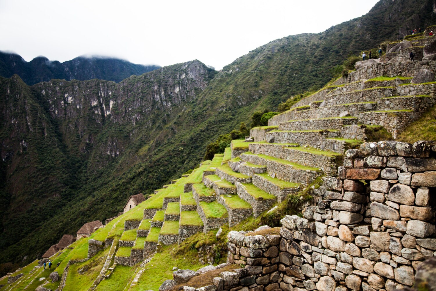 Giant Steps for an Ancient City the farmland of Machu Picchu