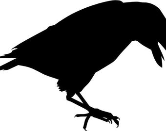 Raven decal | Etsy