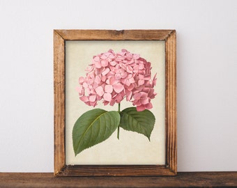 Hydrangea print | Etsy