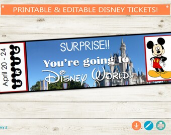 Printable Ticket to Disneyworld/Disneyland Customizable