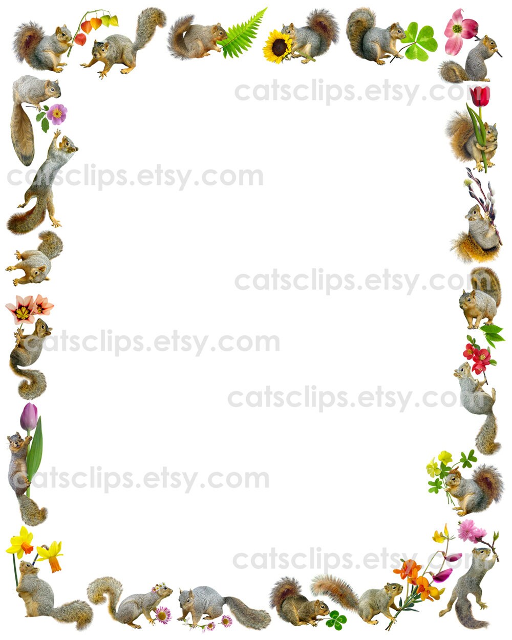 Squirrels with Flowers Digital Border, Printable Squirrel Border from ...