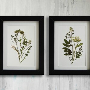 Pressed flower art | Etsy