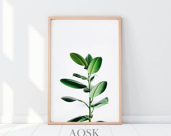 Botanical poster | Etsy