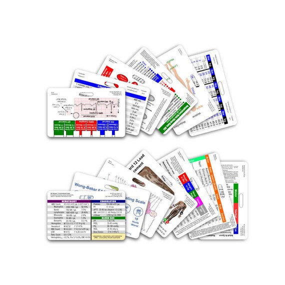 Complete Nurse Horizontal Badge Card Set 13 Cards for ID
