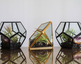 Geometric terrarium | Etsy