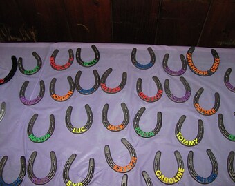 Custom Equestrian Hanging Ribbon Rack 3 ROWS holds up to