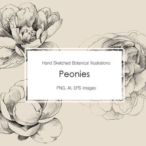 Peony drawing | Etsy