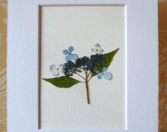 Pressed flower art | Etsy