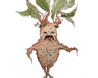 Mandrake print | Etsy