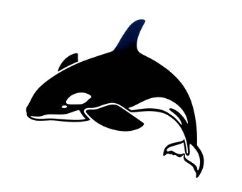 Orca decal | Etsy