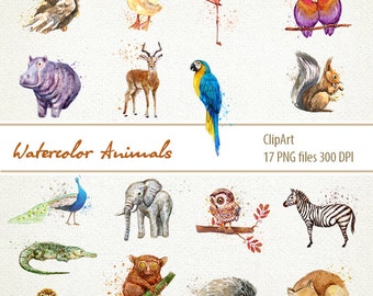 Safari animals animals clip art gold foil clipart clipart
