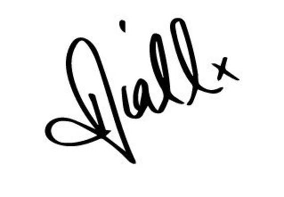 Items similar to Niall Horan Signature Vinyl Sticker on Etsy