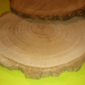 Rustic log decor | Etsy