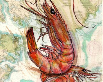 Shrimp print | Etsy