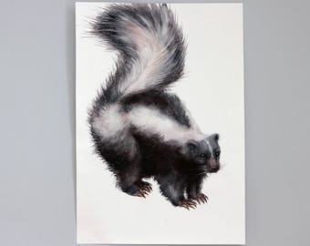 Skunk Watercolor striped skunk Painting skunk Art Print
