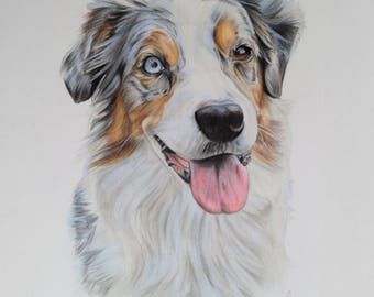 Dog pencil drawing | Etsy