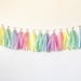 Tassel Garland Tassel Banner Rainbow Tassel Garland