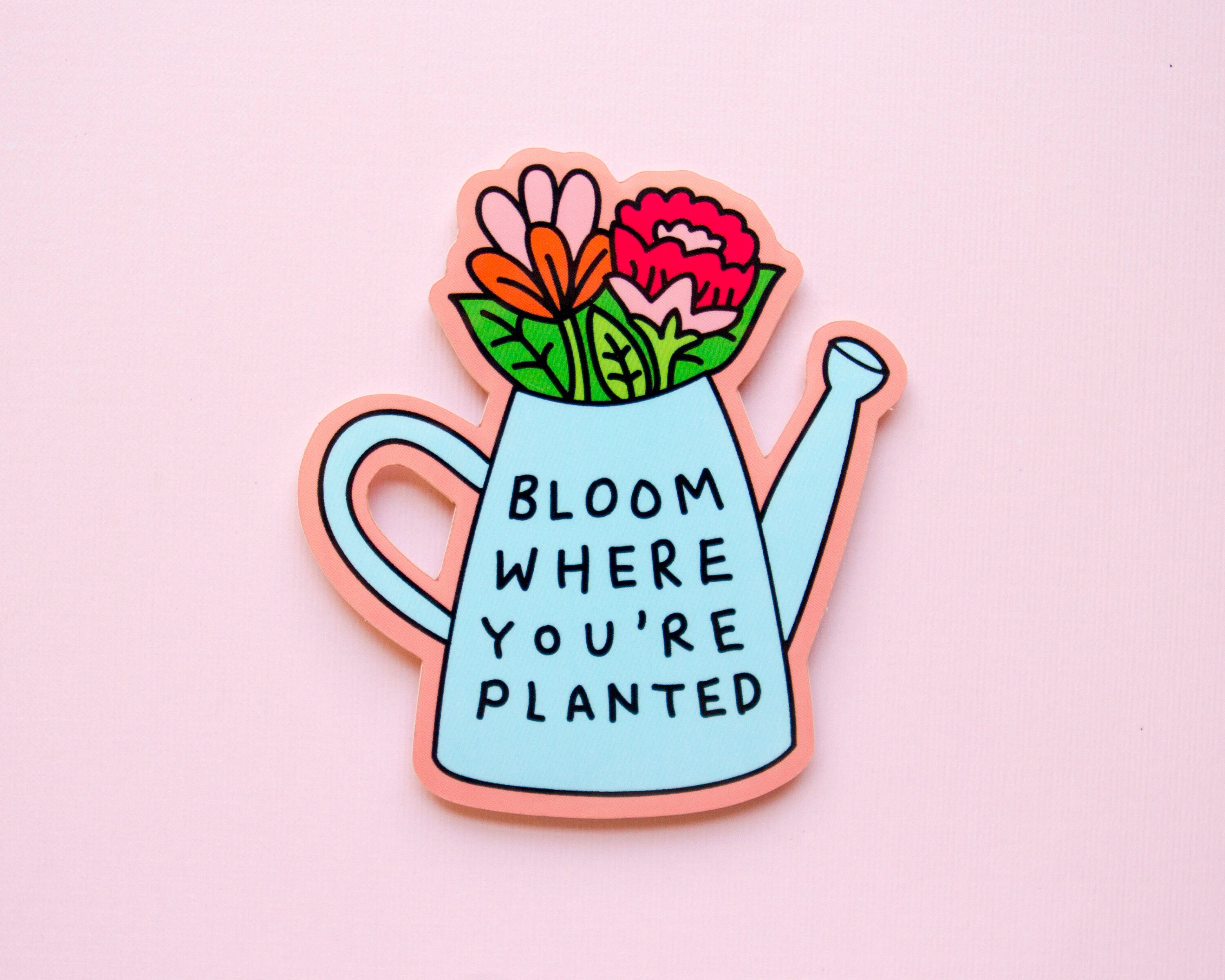 Bloom Vinyl Sticker Bloom Where You're Planted Bumper