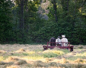 Hay rake | Etsy