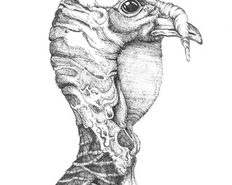 Wild turkey drawing | Etsy