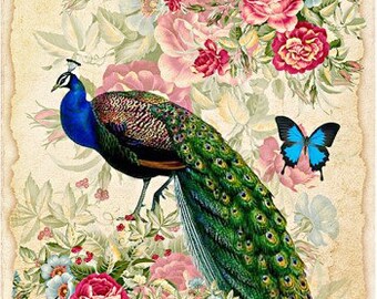 Peacock fabric | Etsy