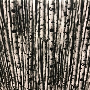 Birch tree fabric | Etsy