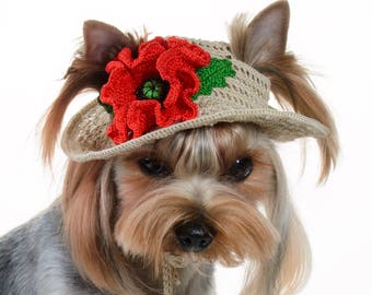 Dog hats | Etsy