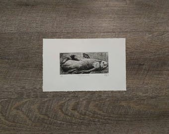 Coelacanth Mermaid Rescue 8x12 print