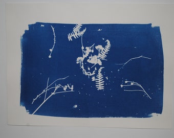 Cyanotype print | Etsy