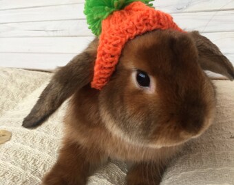 Pet rabbit clothing | Etsy