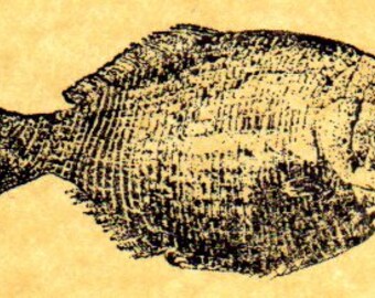Tully Monster Fossil Rubber Stamp Illinois State Fossil
