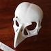 Eagle Skull Mask Blank Hawk Skull Face Mask Raptor Skull