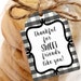 Printable We Need SMORE Teachers Like You Tags Teacher
